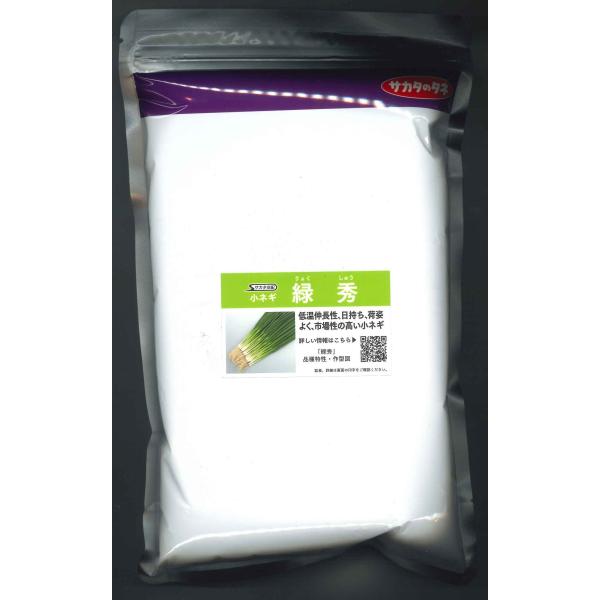 野菜種　ねぎ　緑秀　（小ねぎ）生育が早く、立葉で濃緑です。葉は細く長いですが、葉折れは少ないです種・苗・農業資材品揃え豊富！農家さん御用達のお店　グリーンロフトネモト