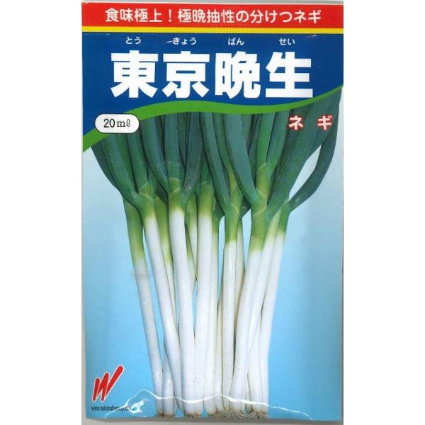 野菜種　ねぎ 東京晩生寒さに強く、春先から分けつし、多収性。種・苗・農業資材品揃え豊富！農家さん御用達のお店　グリーンロフトネモト