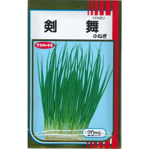 野菜種　ねぎ 剣舞　病害に強く、葉先の枯れは少なく市場性が高いです種・苗・農業資材品揃え豊富！農家さん御用達のお店　グリーンロフトネモト