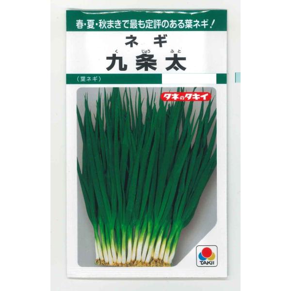 野菜種　ねぎ 九条太耐寒性が強く、抽苔も比較的安定しているので冬ネギとしての利用が多い。種・苗・農業資材品揃え豊富！農家さん御用達のお店　グリーンロフトネモト