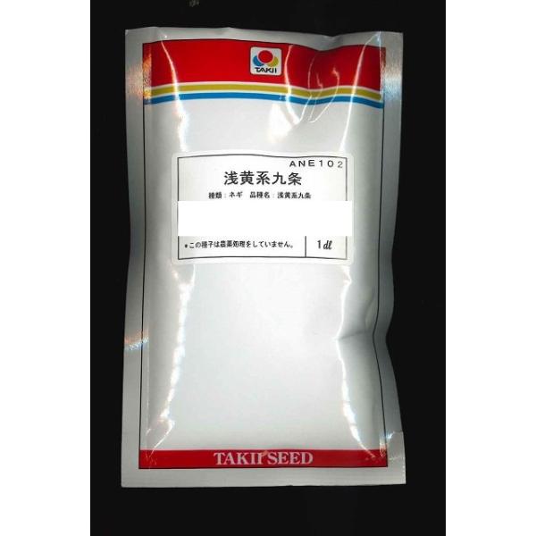 野菜種　ねぎ　浅黄系九条　細身で鮮緑色の上質葉ネギ！周年出荷が可能！種・苗・農業資材品揃え豊富！農家さん御用達のお店　グリーンロフトネモト