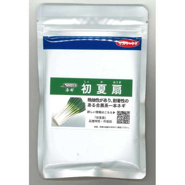 野菜種　ねぎ　初夏扇  晩抽性をもち、耐暑性のある合黒系一本ネギ種・苗・農業資材品揃え豊富！農家さん御用達のお店　グリーンロフトネモト