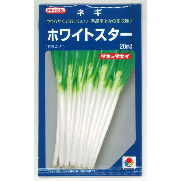 野菜種　ねぎ ホワイトスターそろい極良で、秀品率が高い 草姿は立性で、草丈95〜100cm、葉鞘部は40〜50cm程度種・苗・農業資材品揃え豊富！農家さん御用達のお店　グリーンロフトネモト