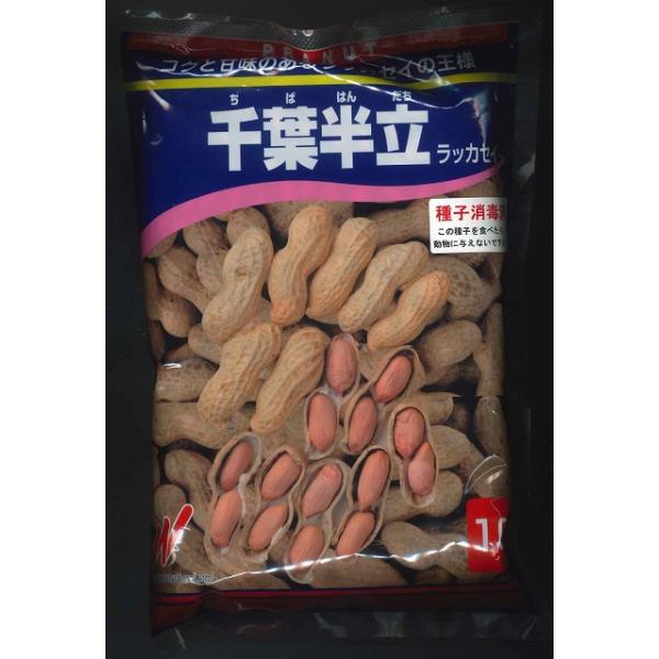 野菜種　落花生　千葉半立品質・食味も優れタンパク質・脂肪なども含まれています。種・苗・農業資材品揃え豊富！農家さん御用達のお店　グリーンロフトネモト