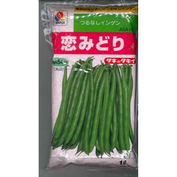 野菜種　いんげん 恋みどり食味良好 風味豊かで食味がよい。種・苗・農業資材品揃え豊富！農家さん御用達のお店　グリーンロフトネモト