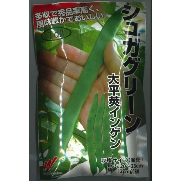野菜種　いんげん　シュガグリーン風味豊かで、食味が良い。種・苗・農業資材品揃え豊富！農家さん御用達のお店　グリーンロフトネモト