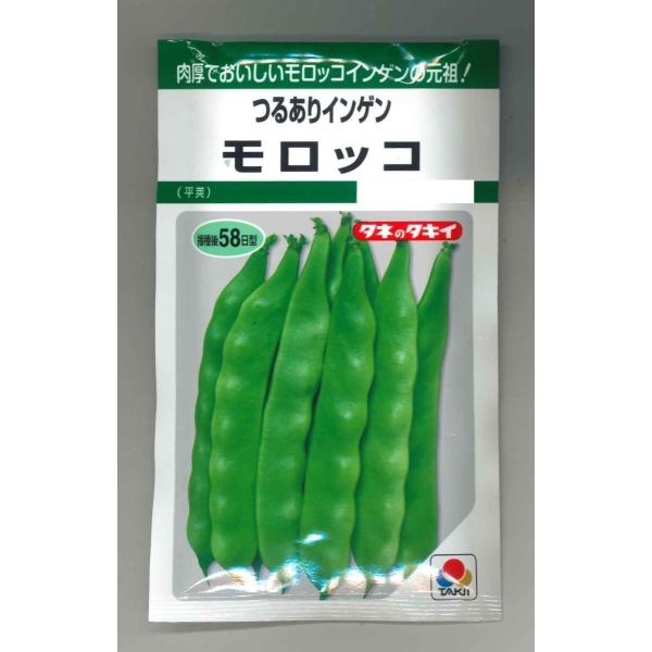 野菜種　いんげん つるあり モロッコ莢は長さ14cm、幅1.8cm程度のつるあり種です。種・苗・農業資材品揃え豊富！農家さん御用達のお店　グリーンロフトネモト