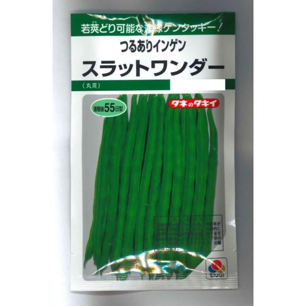 野菜種　いんげん　つるあり　スラットワンダー曲がりが少なく、莢ぞろいと秀品率が高いです。種・苗・農業資材品揃え豊富！農家さん御用達のお店　グリーンロフトネモト