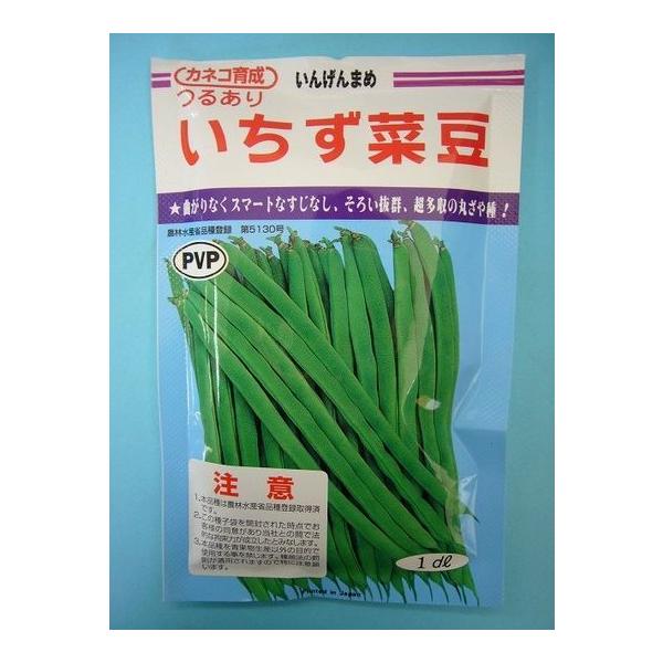 野菜種　いんげん いちず菜豆そろい抜群、超多収の丸莢種です。種・苗・農業資材品揃え豊富！農家さん御用達のお店　グリーンロフトネモト