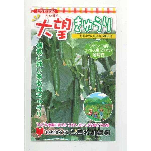 野菜種　きゅうり　大望　病気に強い家庭菜園向き品種です種・苗・農業資材品揃え豊富！農家さん御用達のお店　グリーンロフトネモト
