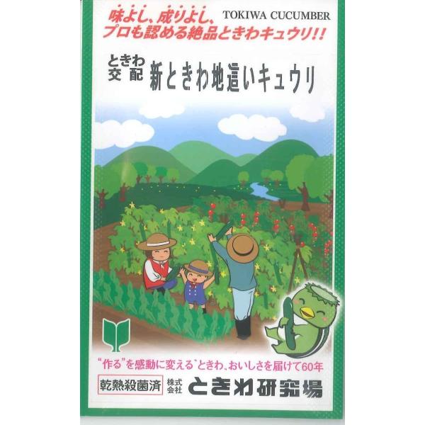 野菜種　きゅうり　新ときわ地這いキュウリ露地(畑)栽培用です。種・苗・農業資材品揃え豊富！農家さん御用達のお店　グリーンロフトネモト