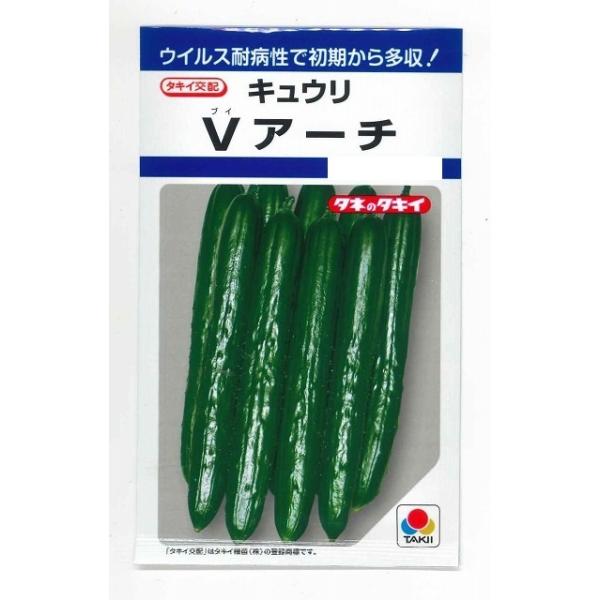 1割引き！野菜種　きゅうり　Ｖアーチつるもちがよく減農薬栽培が可能です。種・苗・農業資材品揃え豊富！農家さん御用達のお店　グリーンロフトネモト