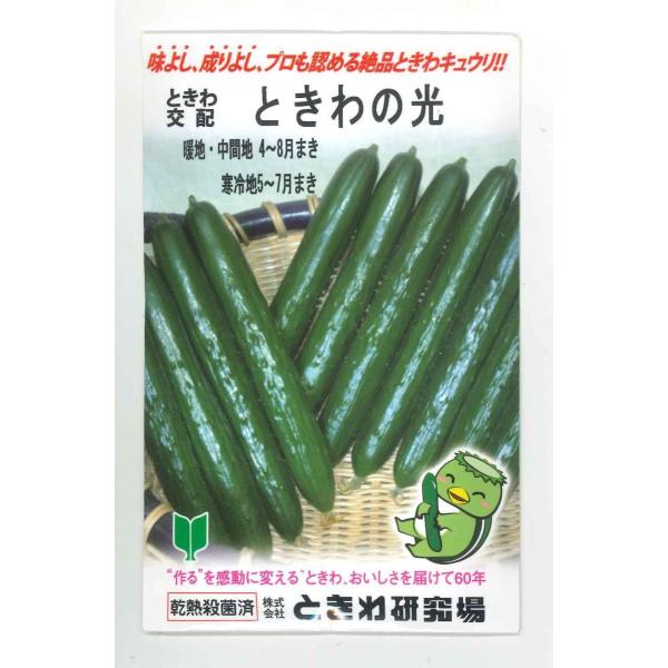 野菜種　きゅうり　ときわの光節成りキュウリです。種・苗・農業資材品揃え豊富！農家さん御用達のお店　グリーンロフトネモト