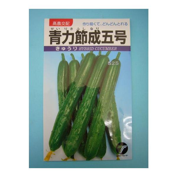 野菜種　きゅうり　青力節成五号白イボ超多収品種です。果長21〜23ｃｍ種・苗・農業資材品揃え豊富！農家さん御用達のお店　グリーンロフトネモト