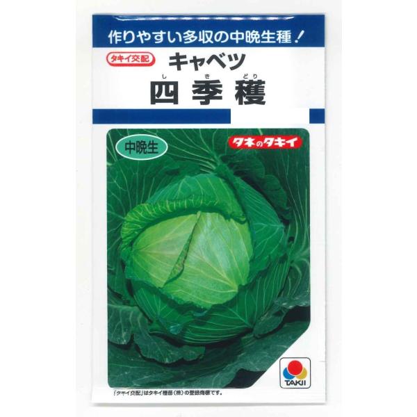 低温でも結球するので栽培容易な品種です。種・苗・農業資材品揃え豊富！農家さん御用達のお店　グリーンロフトネモト