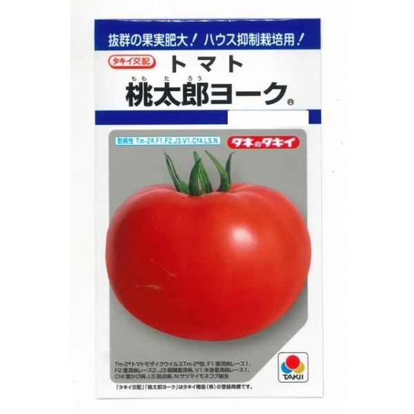 野菜種　大玉トマト　桃太郎ヨークハウス抑制栽培用種・苗・農業資材品揃え豊富！農家さん御用達のお店　グリーンロフトネモト