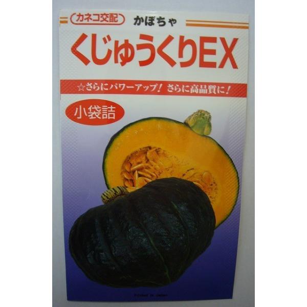 野菜種　かぼちゃ　くじゅうくりEX種・苗・農業資材品揃え豊富！農家さん御用達のお店　グリーンロフトネモト