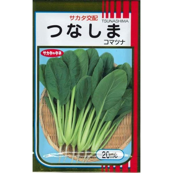 小松菜　つなしま  　サカタ交配収量性・在圃性・耐病性にすぐれた高温期向けコマツナ