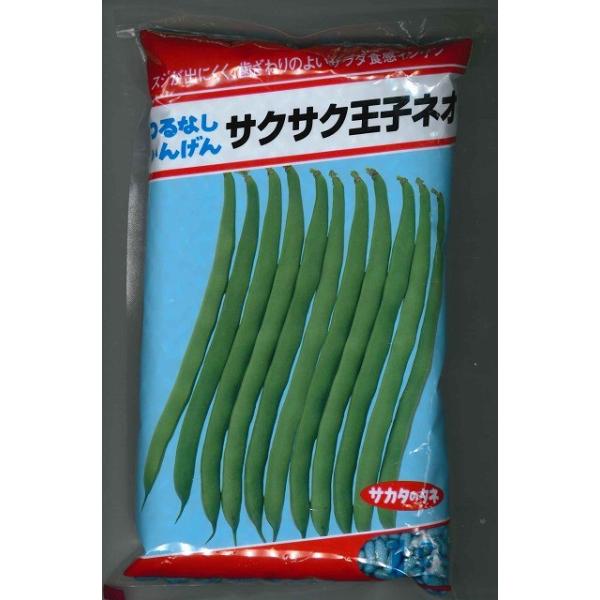 野菜種　つるなしいんげん　 サクサク王子ネオスジが出にくく、歯ざわりのよいサラダ食感インゲン種・苗・農業資材品揃え豊富！農家さん御用達のお店　グリーンロフトネモト