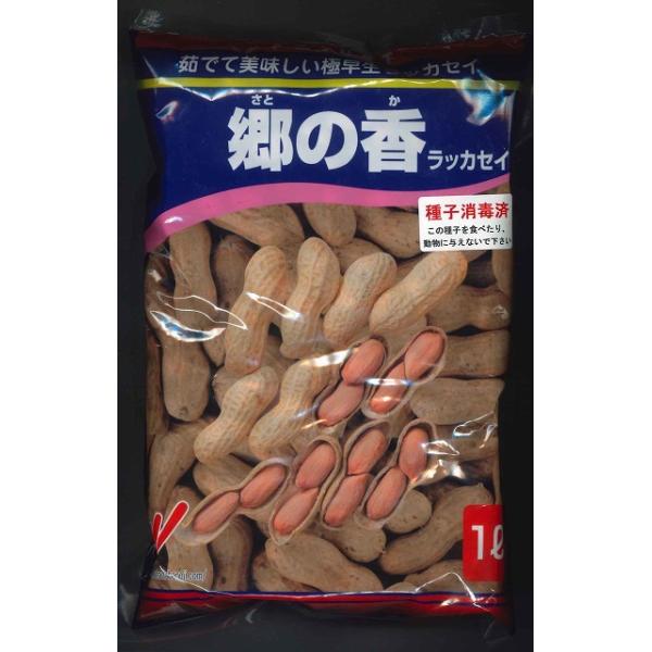 野菜種　落花生　　茹で落花生のタネ　郷の香収量性にに優れる極早生種です。種・苗・農業資材品揃え豊富！農家さん御用達のお店　グリーンロフトネモト