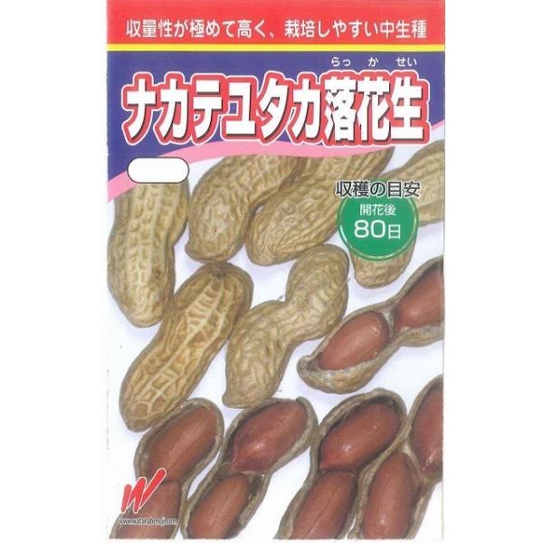 野菜種　落花生　ナカテユタカ開花期から80日前後で収穫できる中生種。 種・苗・農業資材品揃え豊富！農家さん御用達のお店　グリーンロフトネモト