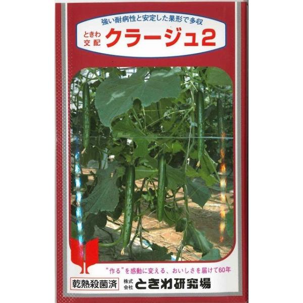 きゅうり　クラージュ2　（350粒）　ときわ研究場褐斑病・ウドンコ病に強い！最後までバテ知らず！種・苗・農業資材品揃え豊富！農家さん御用達のお店　グリーンロフトネモト