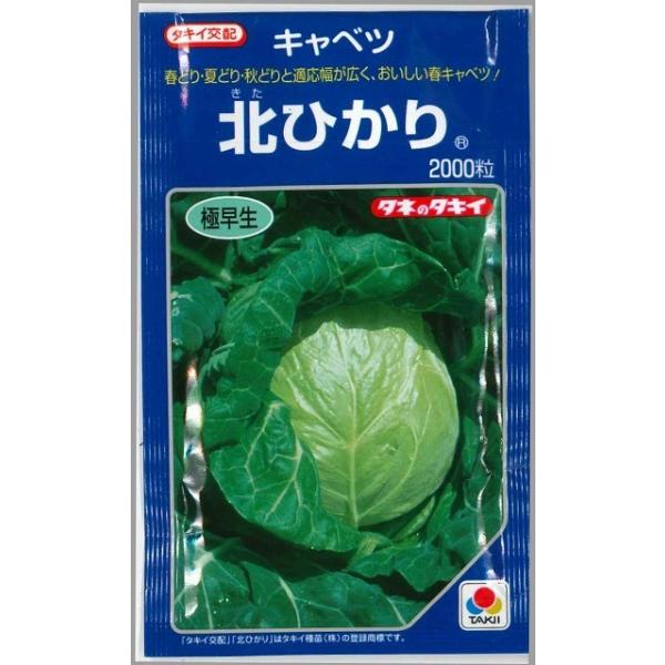 ジューシーでやわらかく、食味のよい春キャベツです。種・苗・農業資材品揃え豊富！農家さん御用達のお店　グリーンロフトネモト