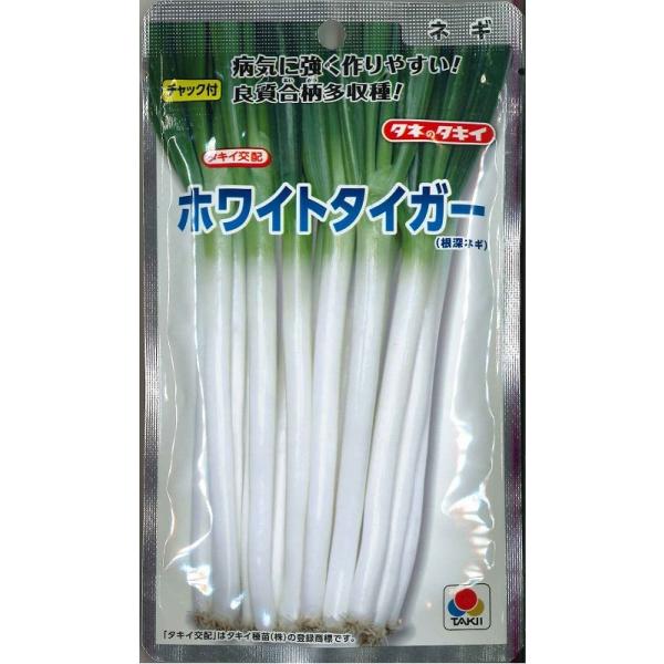 野菜種　ねぎ ホワイトタイガーべと病、赤さび病に対し比較的強く、肥大性にすぐれる2L率の高い合柄系一本ネギ種・苗・農業資材品揃え豊富！農家さん御用達のお店　グリーンロフトネモト