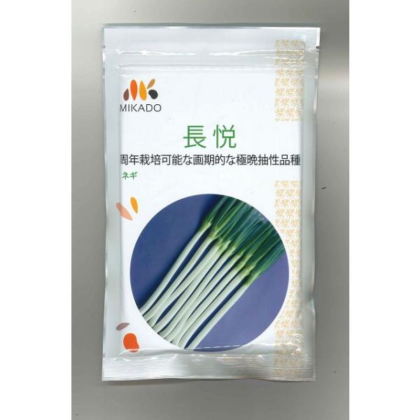 野菜種　ねぎ 長悦葱　　耐暑・耐寒性が強く、播種期を変えることで周年出荷でき、軟白部は40ｃｍほど伸びます種・苗・農業資材品揃え豊富！農家さん御用達のお店　グリーンロフトネモト