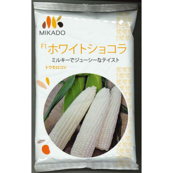 とうもろこし種　ホワイトショコラ安定した発芽率と初期生育で倒伏にも比較的強く、栽培しやすい。種・苗・農業資材品揃え豊富！農家さん御用達のお店　グリーンロフトネモト