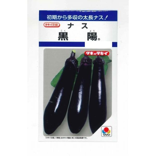 なす種　　黒陽　　種・苗・農業資材品揃え豊富！農家さん御用達のお店　グリーンロフトネモト