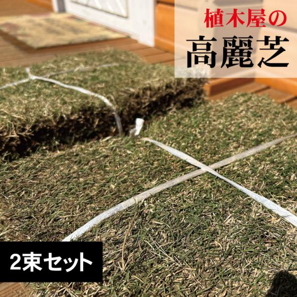 ▼細葉の芝生　高麗芝（天然芝）一覧はこちら▼