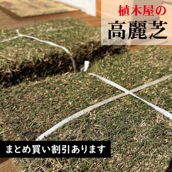▼細葉の芝生　高麗芝（天然芝）一覧はこちら▼