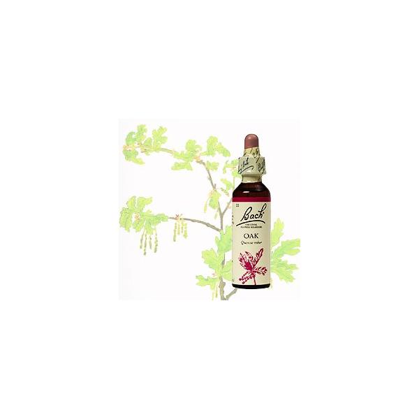 マイナスの感情:常にがむしゃらに戦い続け、休息をとらないポジティブな状態:時には肩の力を抜く真の勇気と力強さ内容量：10ml原材料：グリセリン、水、オーク原産国：英国〜どうやって使うの？〜●39種類のバッチフラワーから今の自分の感情、あるい...