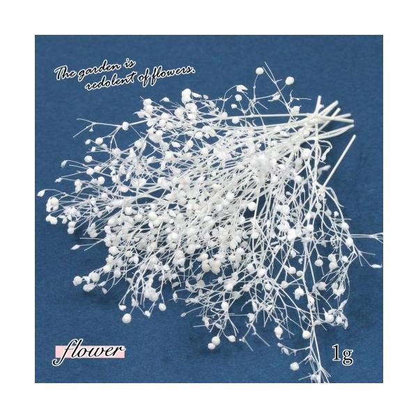 カラフルでちっちゃ可愛いカスミ草のドライフラワー♪※ドライフラワーは天然のものなので、花の大きさ開き、品質、色にばらつきがあります。ご了承ください。○サイズ：最大８cm○カラー：ホワイト★ゆうパケット配送OK (ただし、代金引換ご希望の方、...