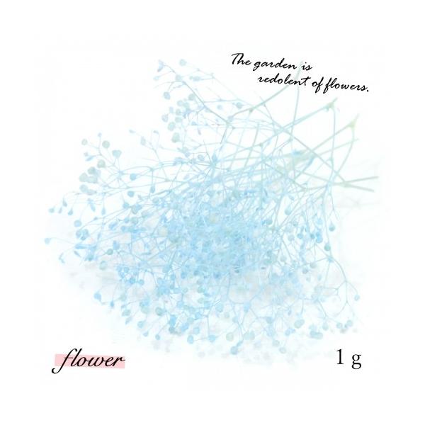 カラフルでちっちゃ可愛いカスミ草のドライフラワー♪※ドライフラワーは天然のものなので、花の大きさ開き、品質、色にばらつきがあります。ご了承ください。○サイズ：最大８cm○カラー：スカイブルー★ゆうパケット配送OK (ただし、代金引換ご希望の...