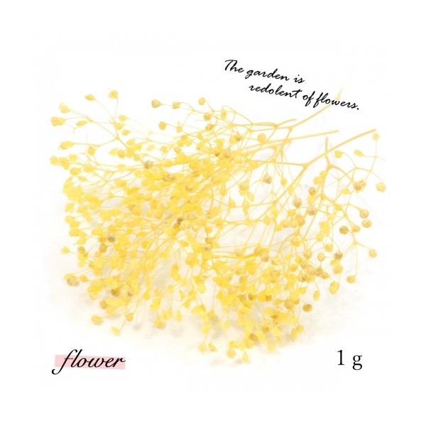 カラフルでちっちゃ可愛いカスミ草のドライフラワー♪※ドライフラワーは天然のものなので、花の大きさ開き、品質、色にばらつきがあります。ご了承ください。○サイズ：最大８cm○カラー：エンジェルイエロー★ゆうパケット配送OK (ただし、代金引換ご...