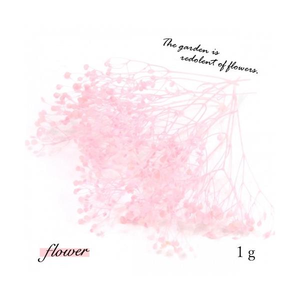 カラフルでちっちゃ可愛いカスミ草のドライフラワー♪※ドライフラワーは天然のものなので、花の大きさ開き、品質、色にばらつきがあります。ご了承ください。○サイズ：最大８cm○カラー：ピンク★ゆうパケット配送OK (ただし、代金引換ご希望の方、ゆ...