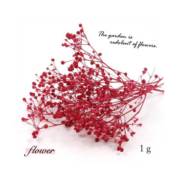 カラフルでちっちゃ可愛いカスミ草のドライフラワー♪※ドライフラワーは天然のものなので、花の大きさ開き、品質、色にばらつきがあります。ご了承ください。○サイズ：最大８cm○カラー：ワイン★ゆうパケット配送OK (ただし、代金引換ご希望の方、ゆ...