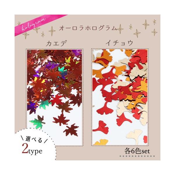 秋にぴったり♪イチョウとカエデの形のホログラムセット♪封入だけでなくネイルにもおすすめです^^○数量：1ケース（選べる2種）○サイズ：画像参照○カラー：イチョウ・カエデ（表記のサイズは目安です。実際の寸法は個々に若干異なる場合がございます。...