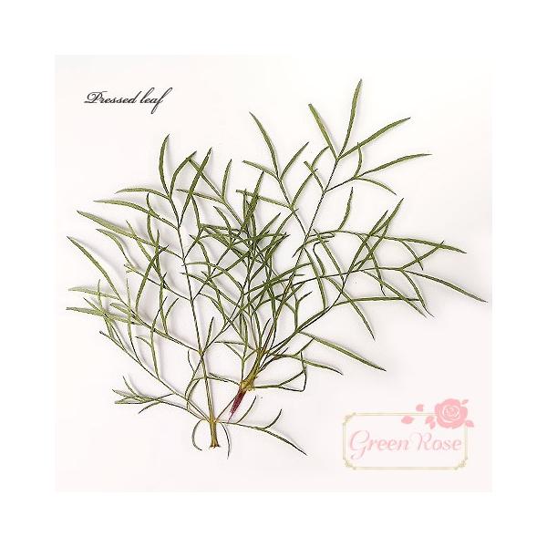 ■商品内容サイズ(縦×横)：約150×130mm程度数　量：4枚カラー：画像をご参考ください。