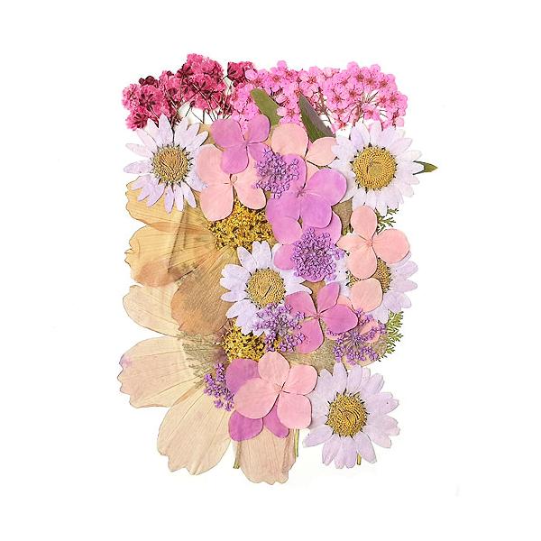 ★13時までにお支払いを完了したご注文分は当日発送致します★※ご注意※・13時以降のご注文は翌日発送でございます。・当店休業日（土日祝日）期間のご注文は発送対象外です。・商品に［★当日発送★］の記載がない商品も合わせてご注文の場合は当日発送...