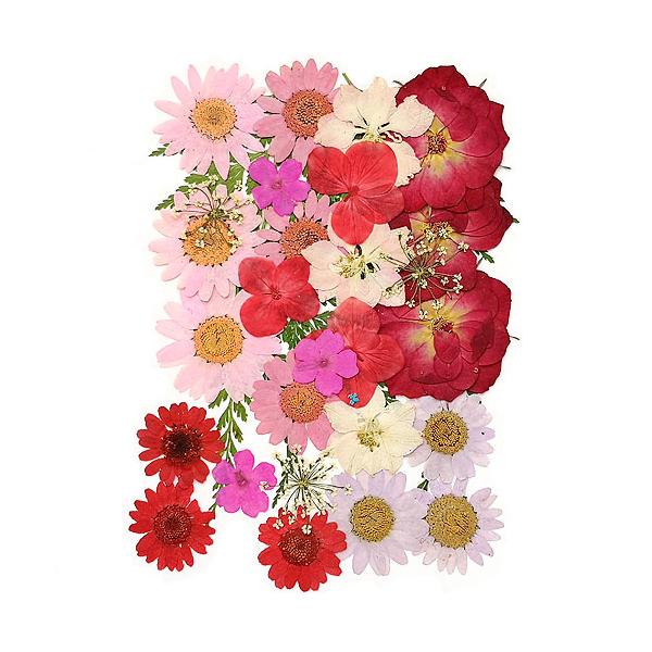 ★13時までにお支払いを完了したご注文分は当日発送致します★※ご注意※・13時以降のご注文は翌日発送でございます。・当店休業日（土日祝日）期間のご注文は発送対象外です。・商品に［★当日発送★］の記載がない商品も合わせてご注文の場合は当日発送...