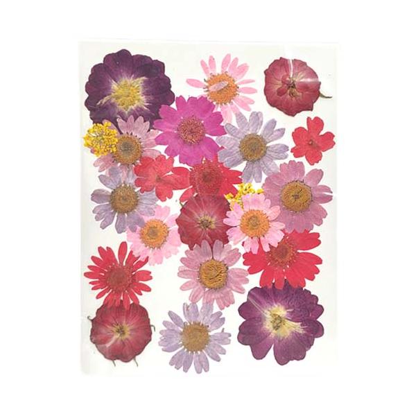 ■商品内容台紙サイズ(縦×横)：約13.5×10.5cm程度カラー：画像をご参考ください数　量：1枚※入荷時（パッキング済み）の商品をそのまま発送いたします。※天然の花を使用しているため、形・お色・大きさには個体差がございます。