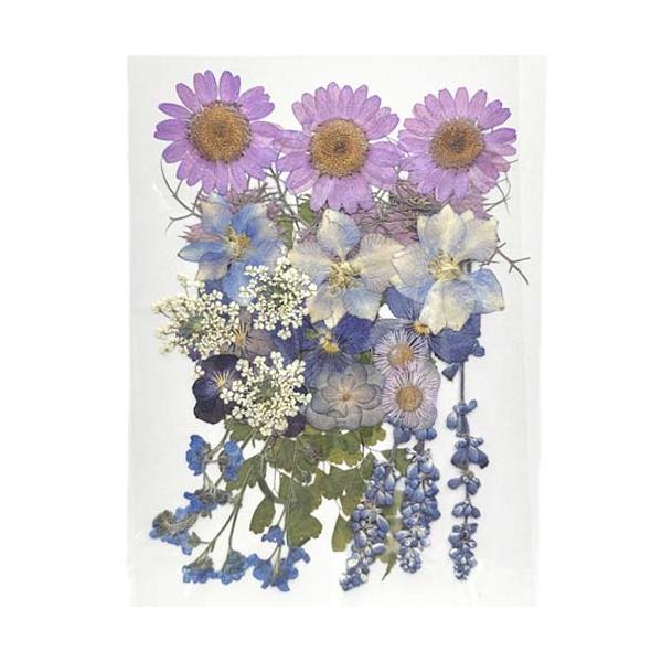 ■商品内容台紙サイズ(縦×横)：約13.5×10.5cm程度カラー：画像をご参考ください数　量：1枚※入荷時（パッキング済み）の商品をそのまま発送いたします。※天然の花を使用しているため、形・お色・大きさには個体差がございます。