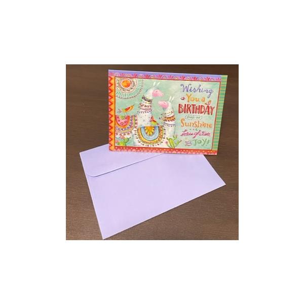 アメリカから直輸入　ラング社 英語　バースデーカード メッセージ/ グリーティングカード 　誕生日カード＋封筒　セットシンプル・インスピレーションSimple Inspirations  Birthday Card Debi Hron●De...