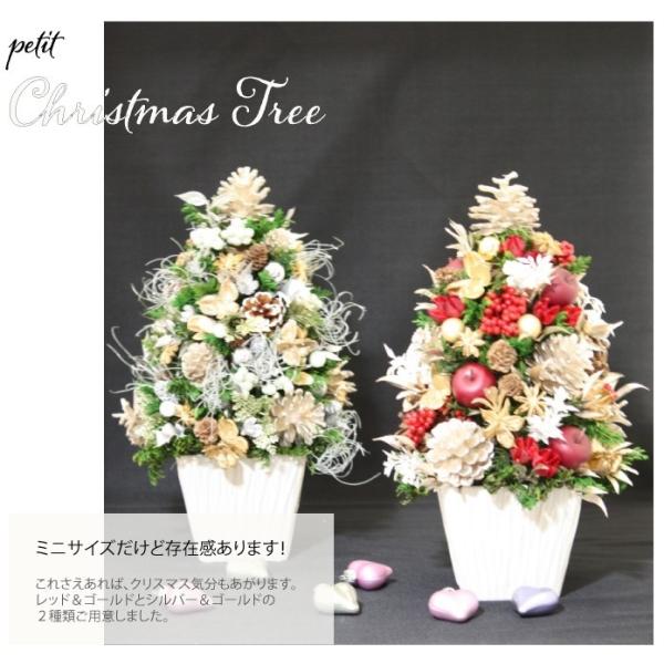 プリザーブド加工されたグリーンをベースに、ミニクリスマスツリーを２種類ご用意しました♪ミニといっても、高さ約35cmと存在感も抜群なテーブルなどに飾りやすい大きさのツリーです。クリスマスらしい赤やゴールドの木の実やオーナメントで飾ったクリス...