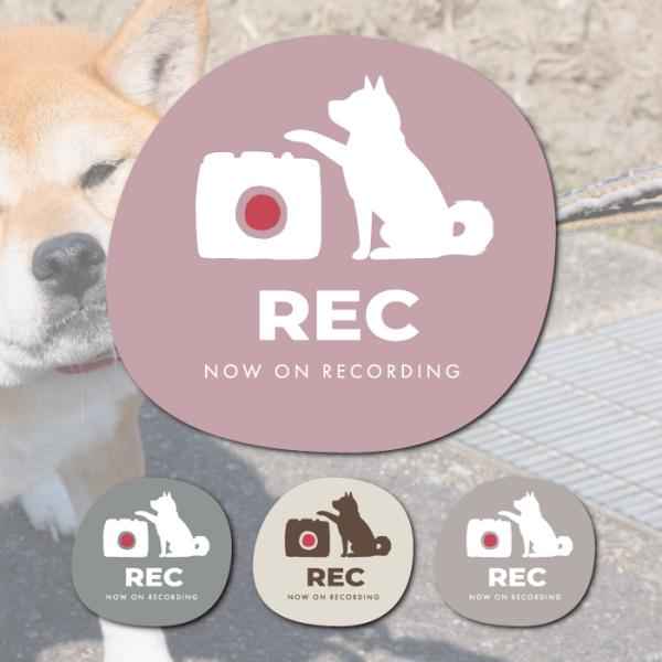 効果大 威力 強力 防水 インクジェット ステッカーです。男の子 女の子 子供 子ども こども 赤ちゃん あかちゃん 乗ってます 乗っています baby kids in car ベビー ベイビー キッズ イン カー年寄り 老人 高齢者 おじ...