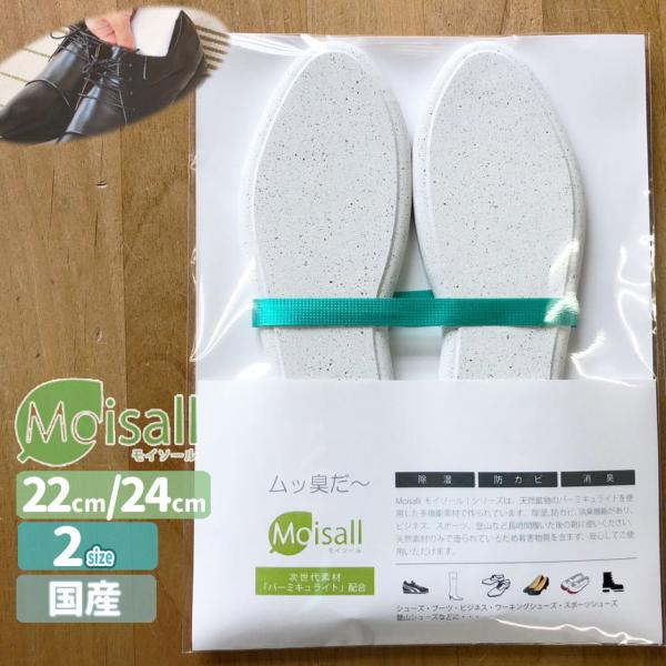 [サイズ]22cm用：幅6cm×長さ20cm×厚み0.9cm24cm用：幅7cm×長さ23cm×厚み0.9cm[成分]天然鉱物バーミキュライト消石灰珪砂パルプ[特徴]吸水性が高い抗カビ性もあり原料のバーミキュライトは、湿気の多い所では除湿し...