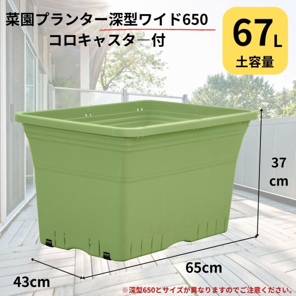 土容量67Lの深型設計で、じゃがいもや大根、にんじんなど根菜類の栽培にぴったりの菜園プランターです。広々としたスペースで野菜がしっかり育ち、コロキャスター付きだから移動もスムーズ。ベランダやお庭で本格的な家庭菜園を楽しめる安心の日本製です。...